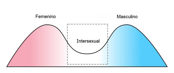 ¿Qué es el Género? :: Eso es Disforia de Género, PSI